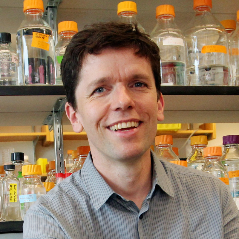 Prof. Dr. Thomas Schwartz | Schule MIT Wissenschaft